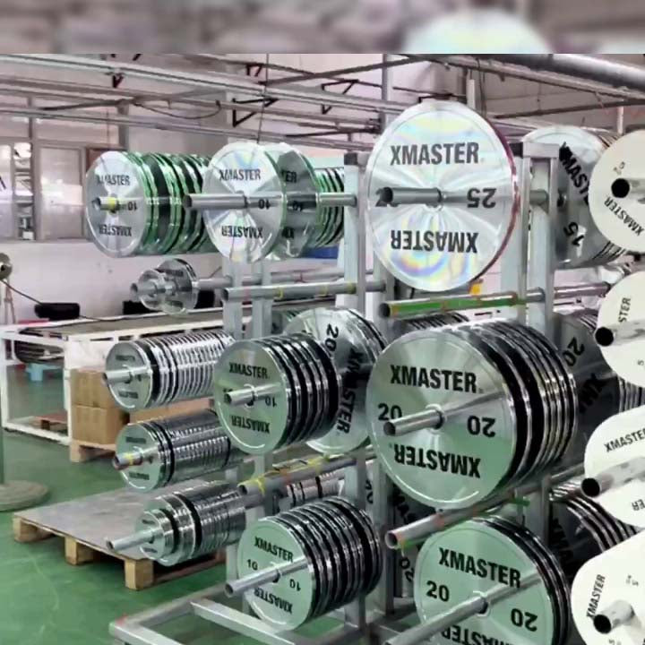 XMASTER Chrome Steel Strip Plates KG– DirectHomeGym