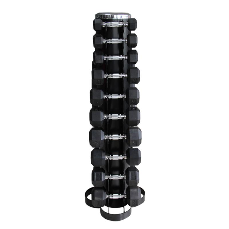 Premium Vertical Dumbbells Tower Storage Rack 10 sets– DirectHomeGym