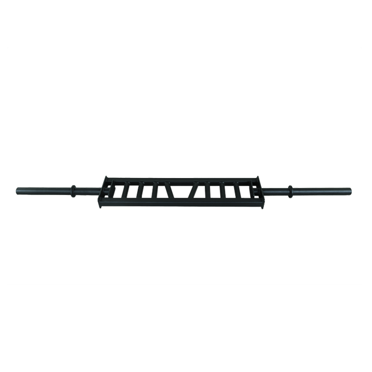 Custom Swiss Bar– DirectHomeGym