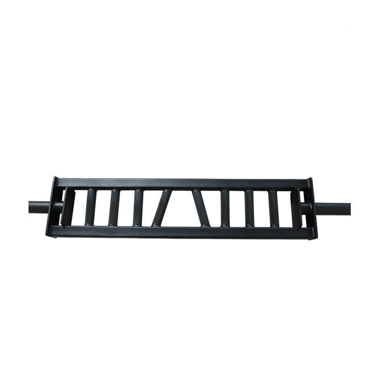 Custom Swiss Bar– DirectHomeGym